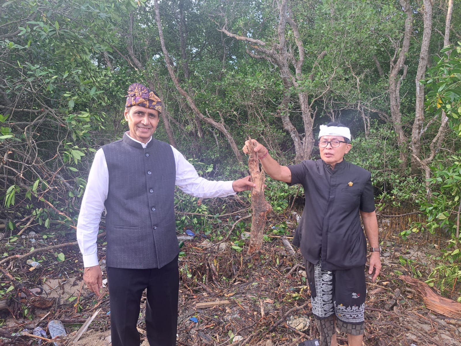 PT. BTID Babat Mangrove : KKP Segel Proyek Kura-Kura Bali | Indonesia ...